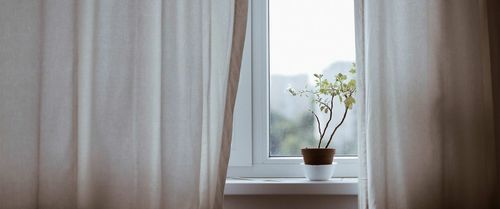 Meet The Team: Steve Romm