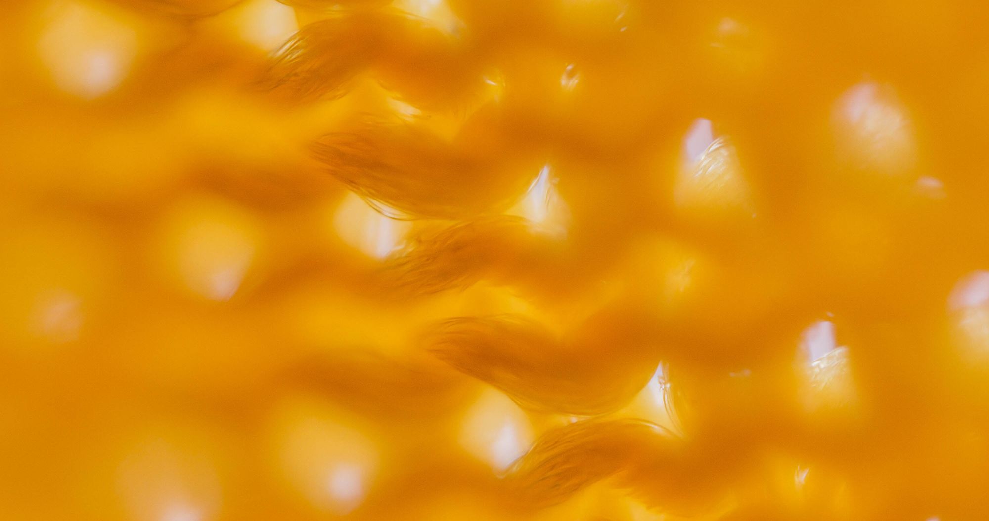 Ambercycle | Decarbonized Circular Materials for Apparel