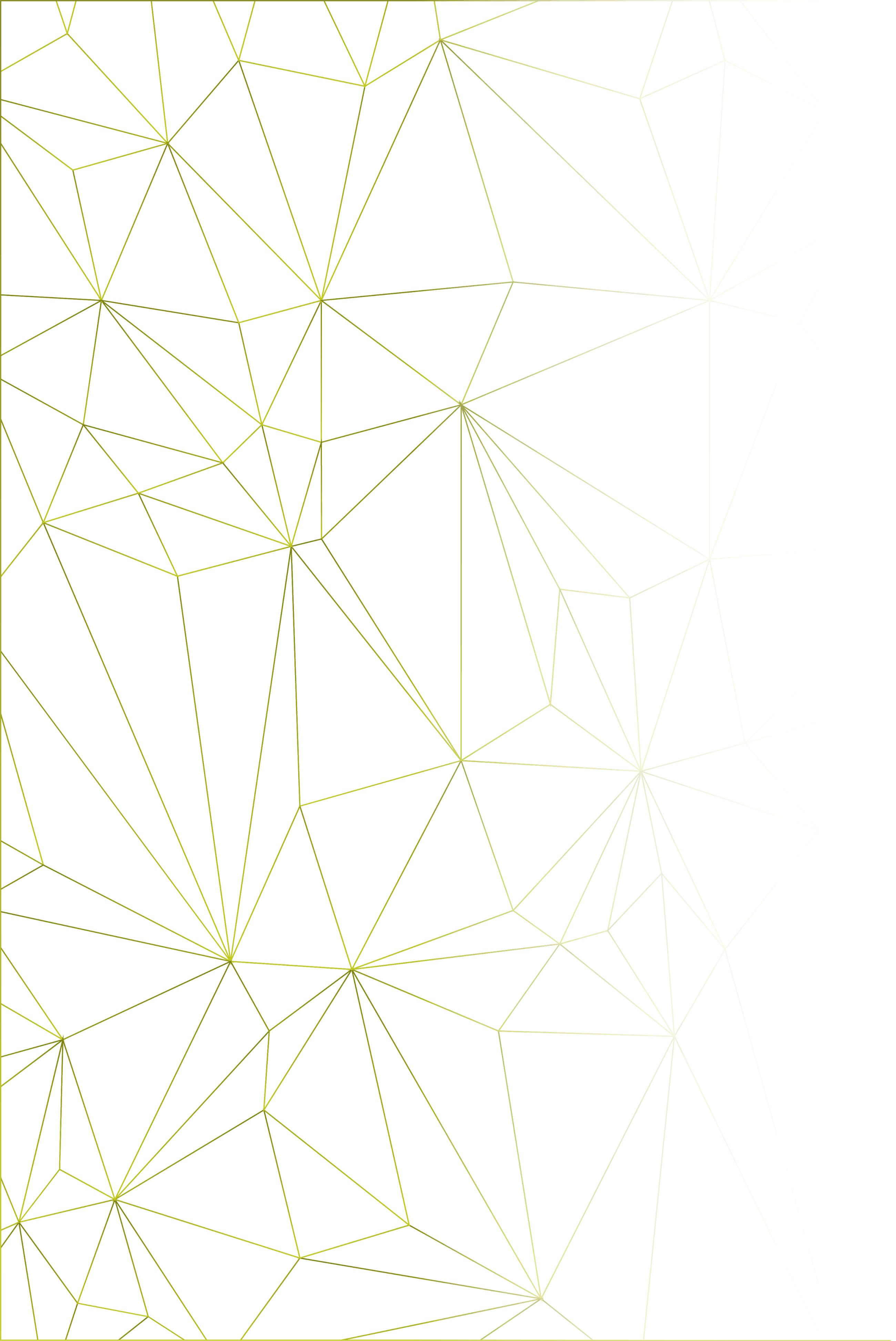 Shadowrun Anarchy 2.0 is coming to Kickstarter!