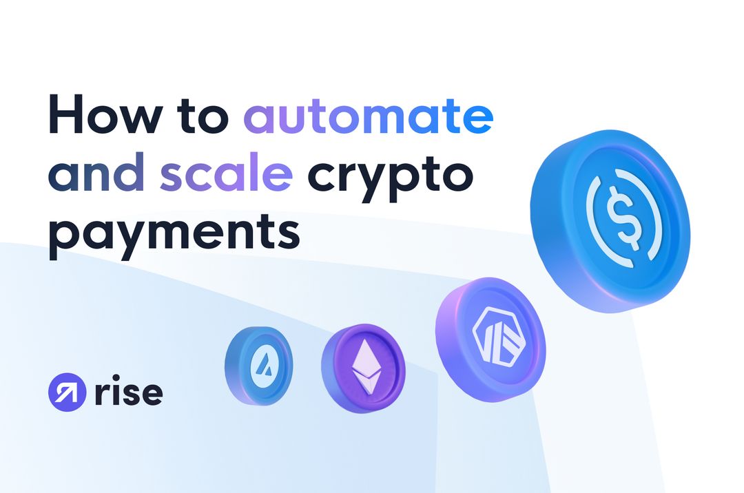 Rise | How to Automate and Scale Crypto Payments