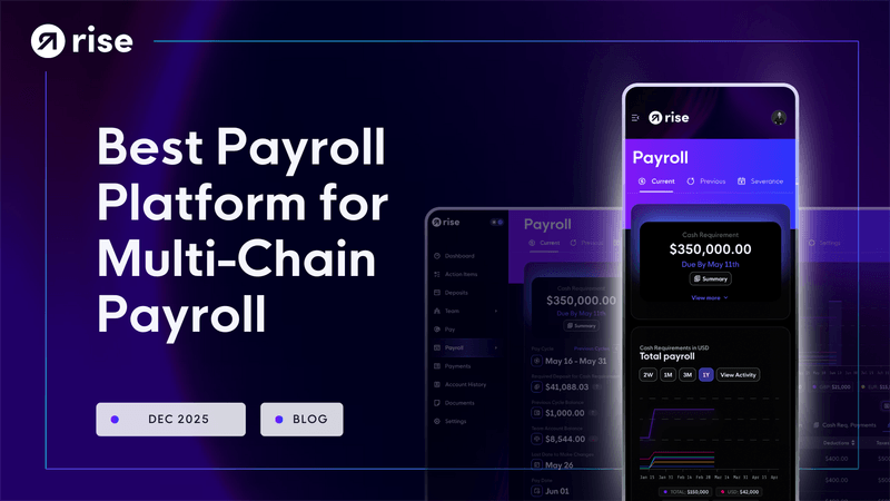 Rise | Best Payroll Platform for Multi-Chain Payroll