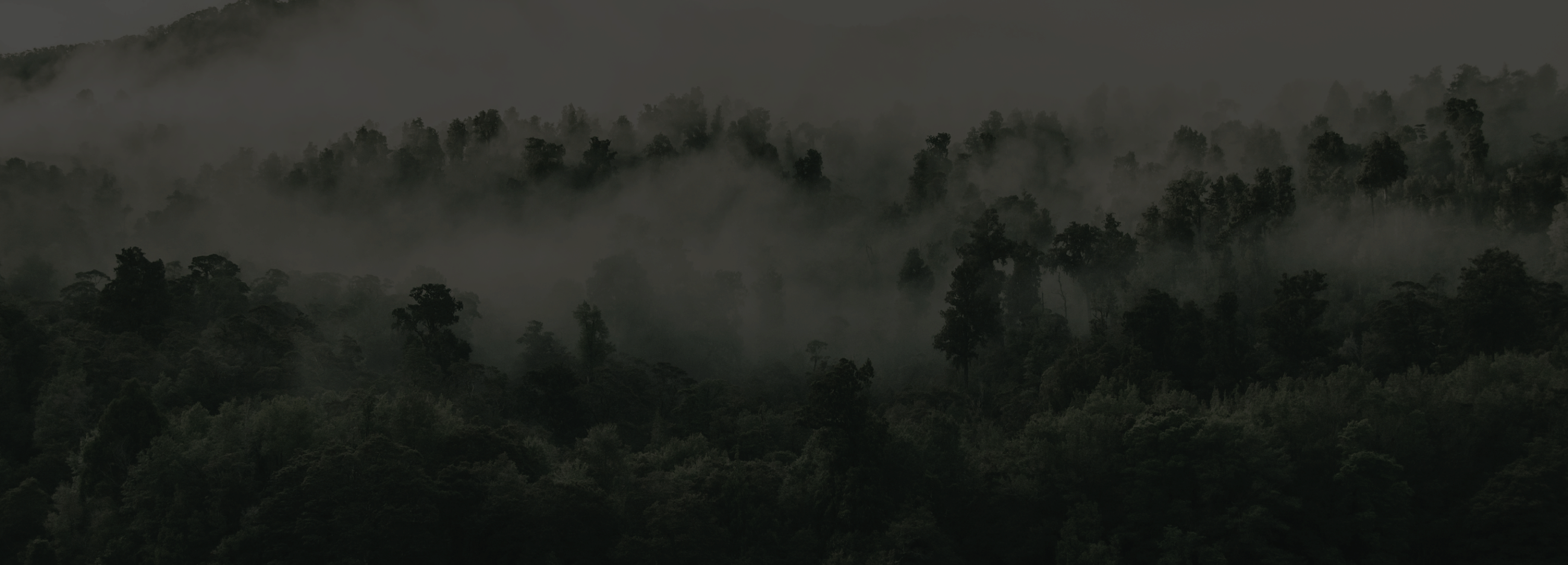 About Us | Bakuun Holdings | Travel Technology Company