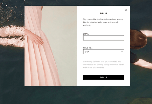 5 Essentials to a High-Converting Email Opt-In For Fashion Ecommerce ...
