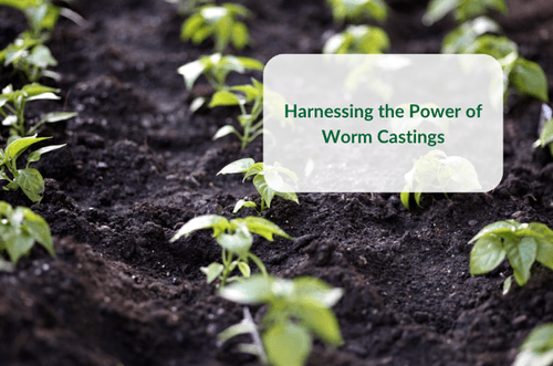 FarmRaise - Farm Management Simplified