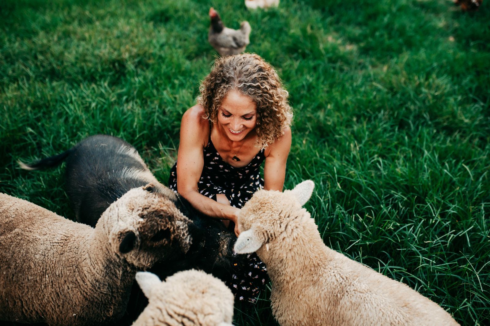 Farm Accounting & Management Software | FarmRaise