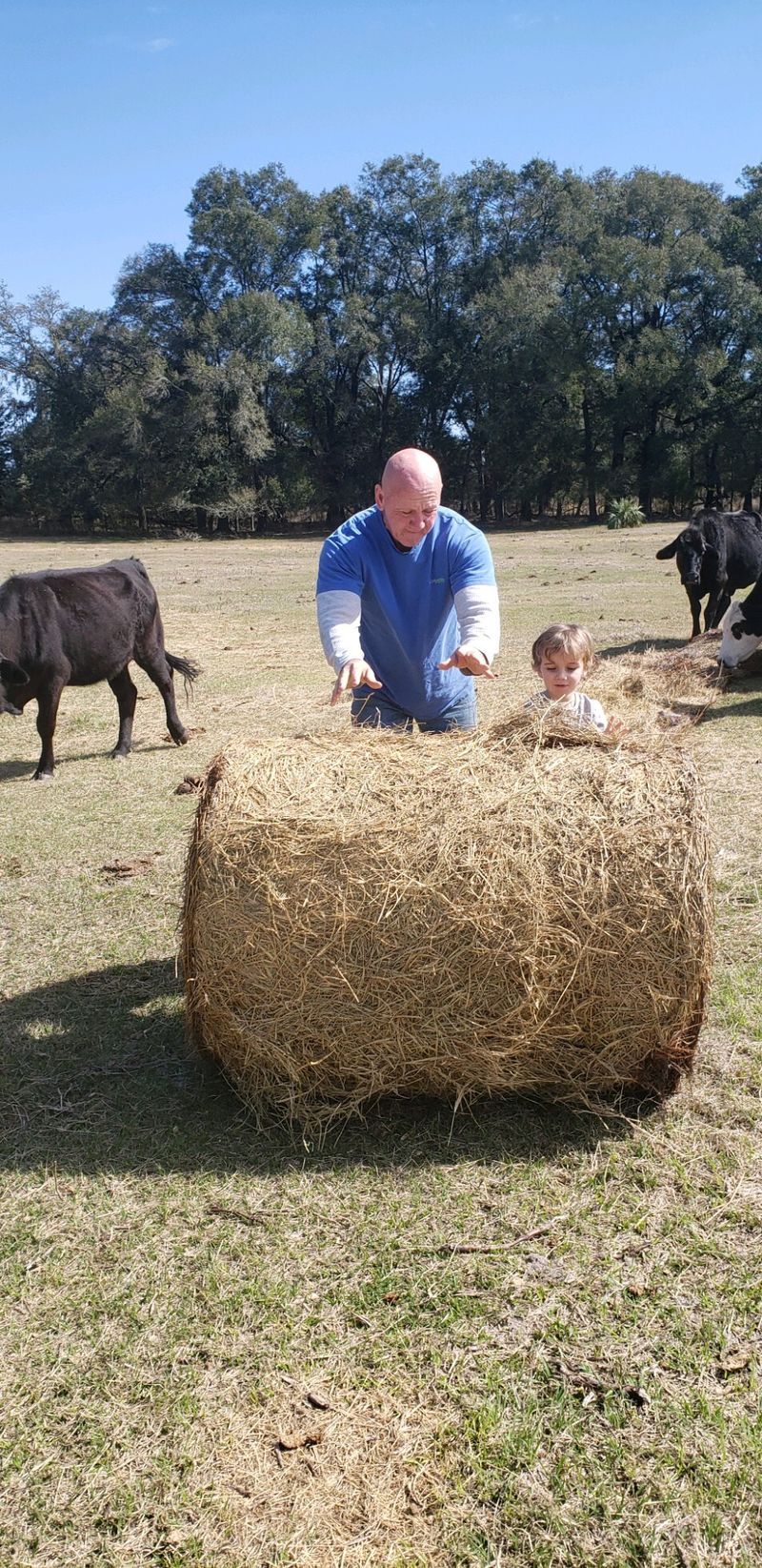 Farm Accounting & Management Software | FarmRaise