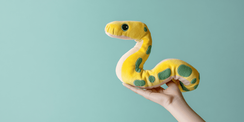 ‍Automatisation des processus avec Python : tutoriel et exemples‍