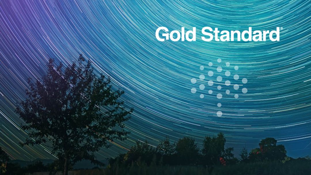 On the Importance of Gold Standard’s Tokenization Readiness Phase