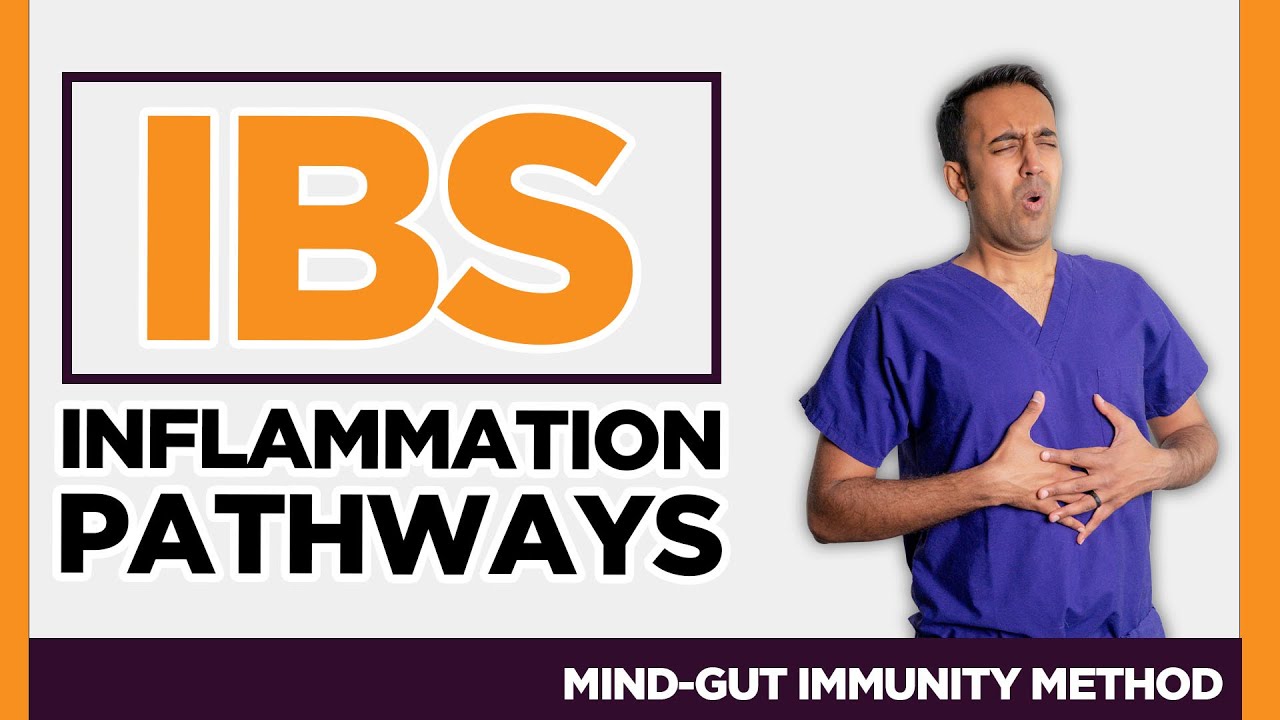 [3 Types of Inflammation] Irritable Bowel Syndrome, IBS Gastro Surgeon ...