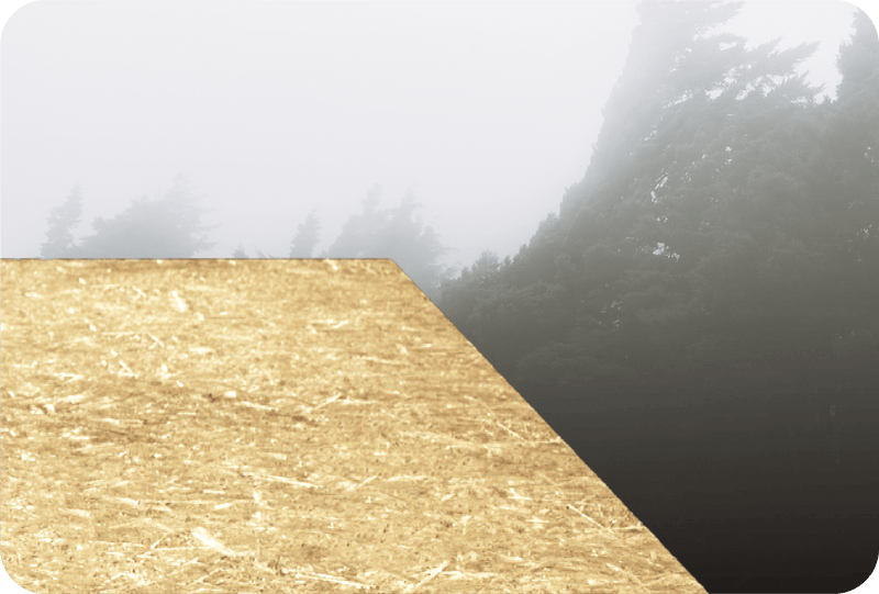 Product | Plantd Materials