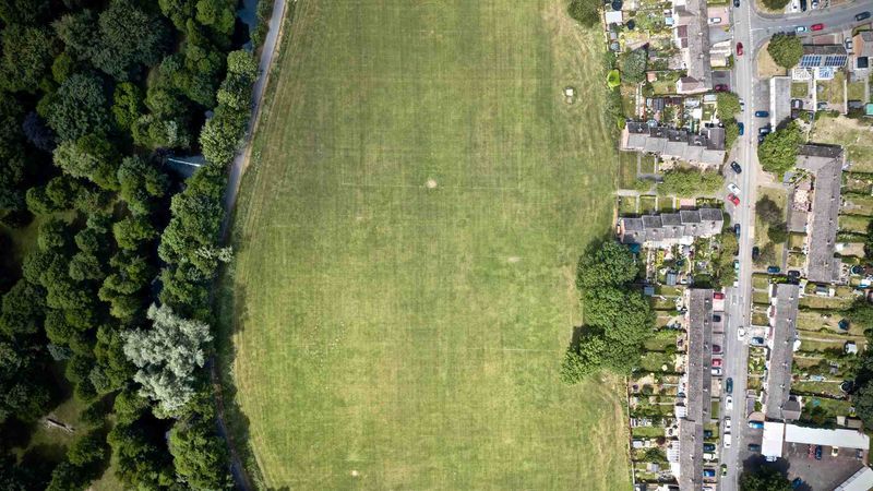 Understanding Fuel Modification Plans in Los Angeles - LETTER FOUR, INC.