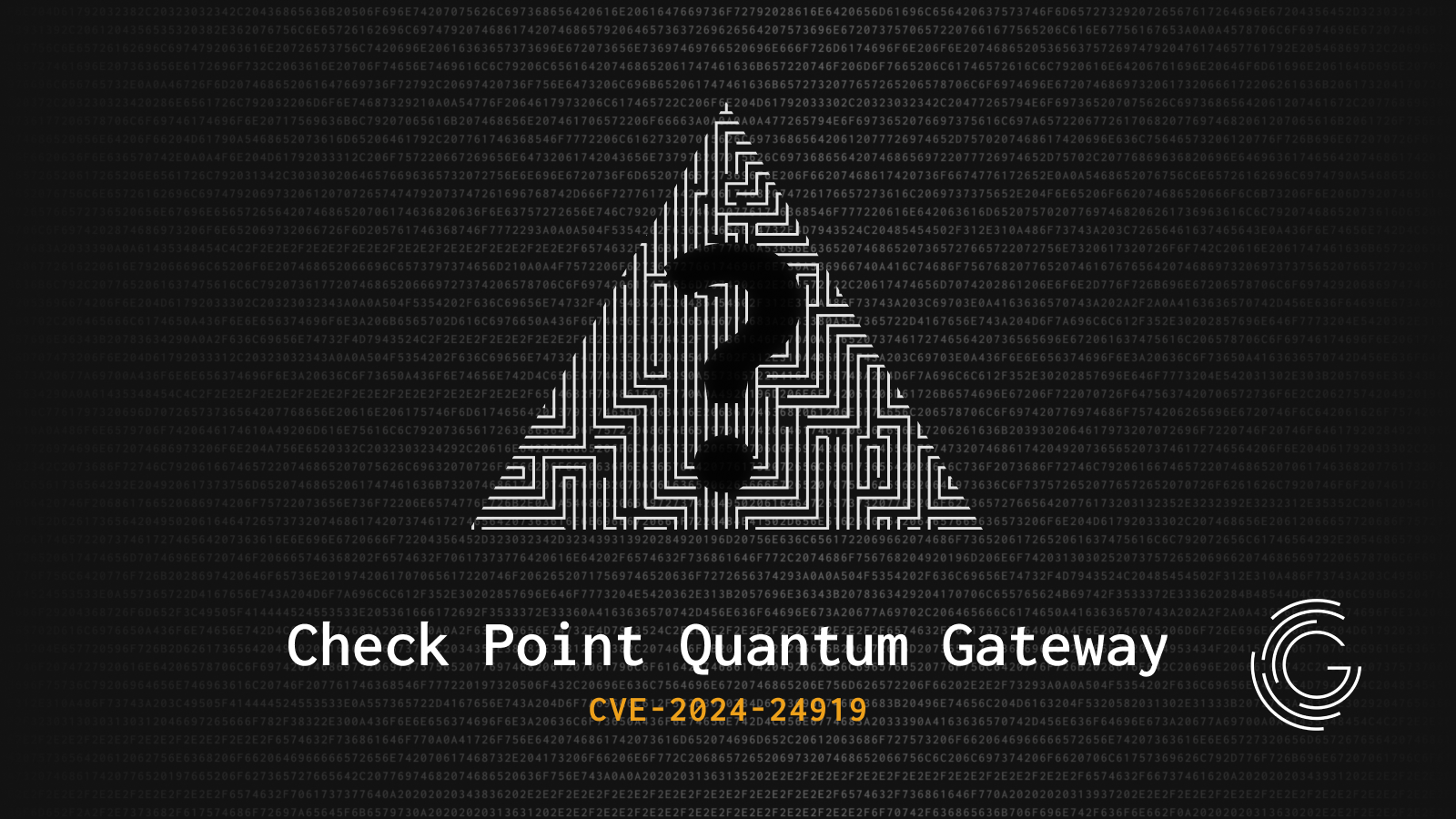 What’s Going on With Check Point (CVE-2024-24919)? | GreyNoise Blog