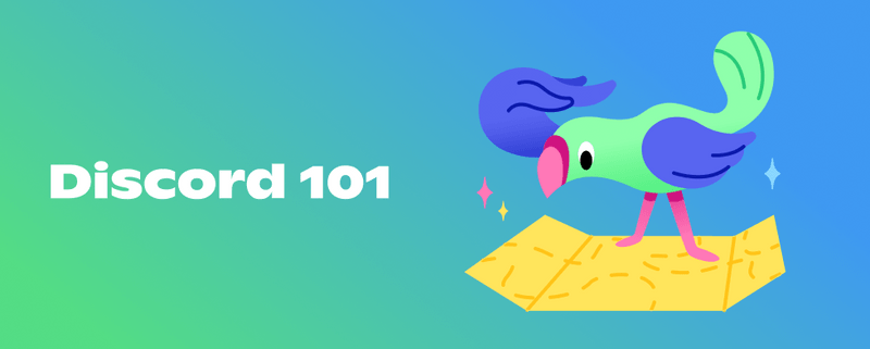 Community Server Features Every Creator Should Know About