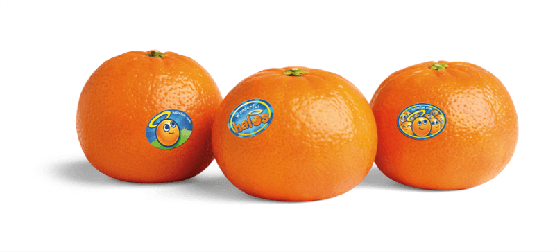 Wonderful Halos Mandarins - Sweet, Seedless, Easy Peel