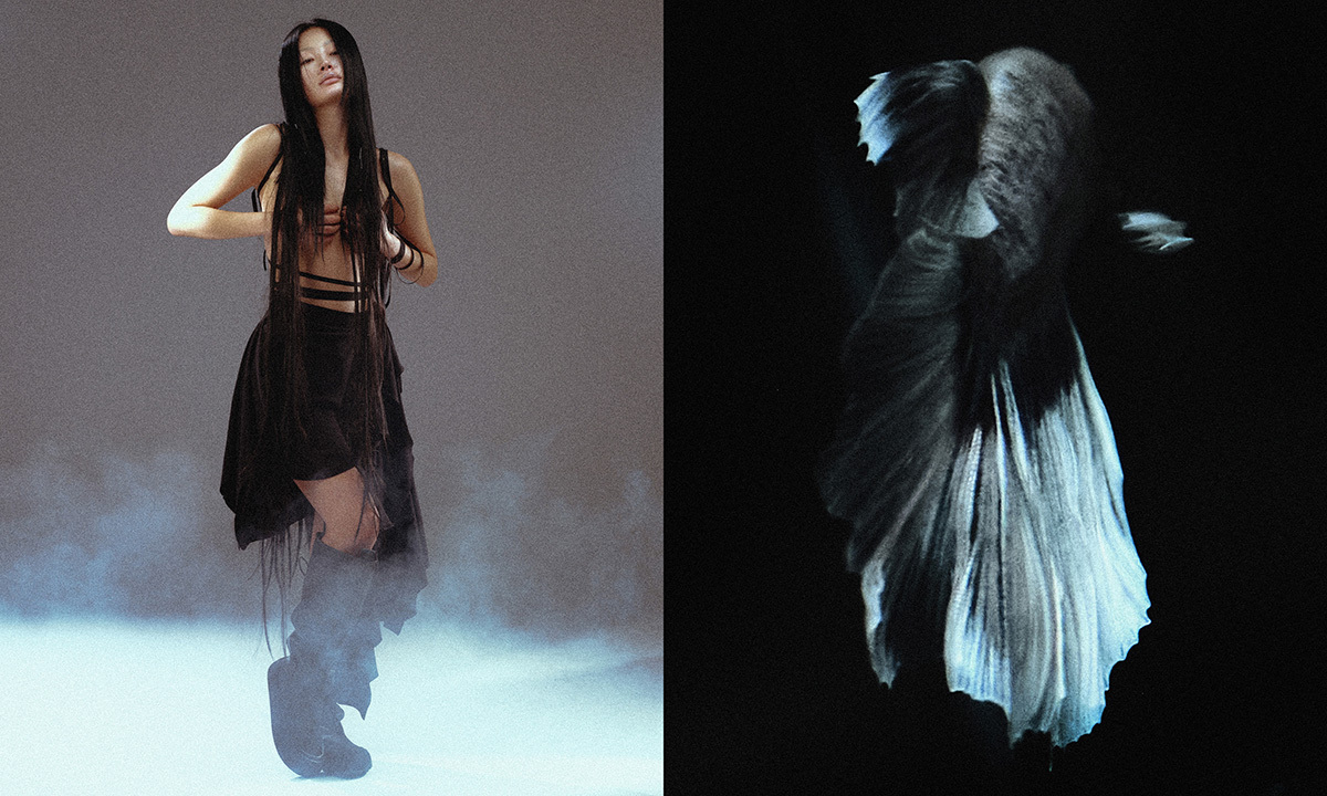 MU-B wiki: NACHE - The ambitious brand, which has seen a consecutive ...