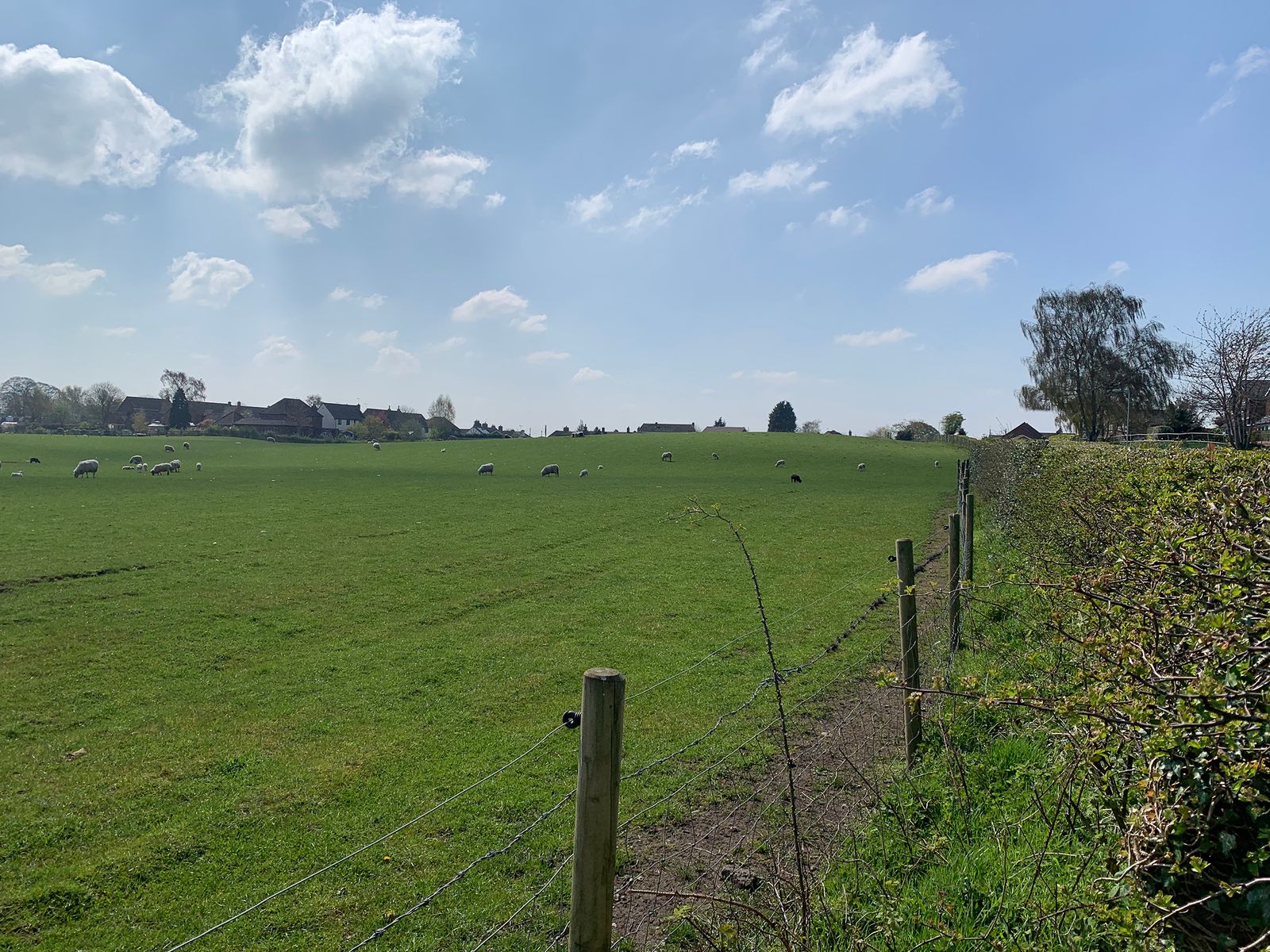 Strategic Land Group