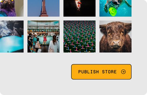 Picfair Plus Plans - pricing options