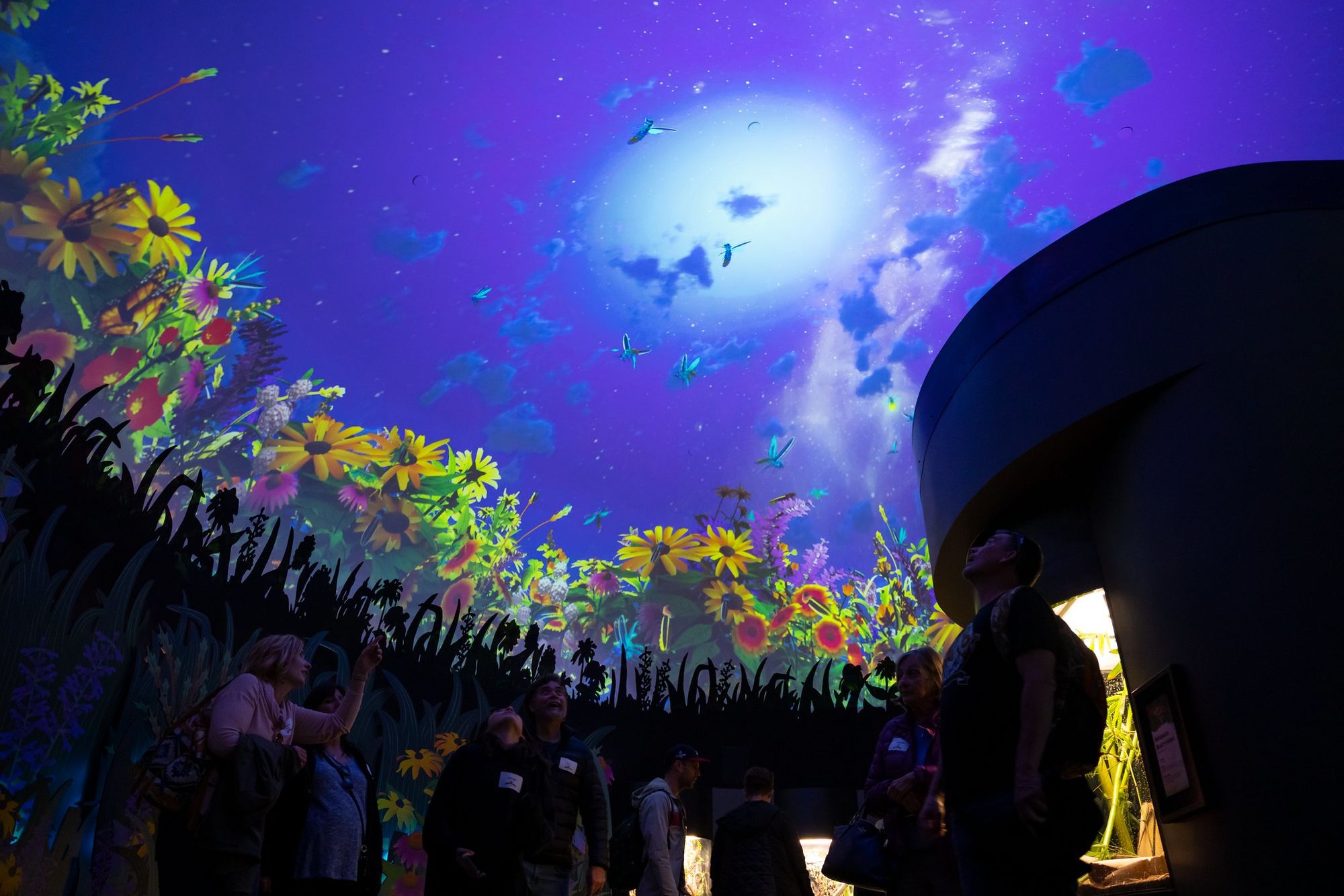 Exhibit & Experience Design for Museums | Ideum