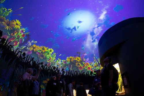 Exhibit & Experience Design for Museums | Ideum