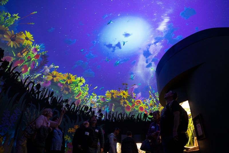 Exhibit & Experience Design for Museums | Ideum