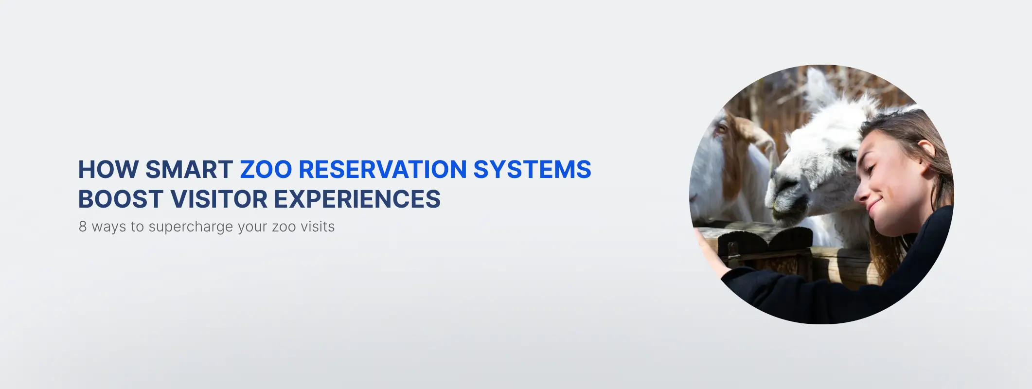 8 Ways on How Zoo Reservation Systems Cut Lines & Boost Fun