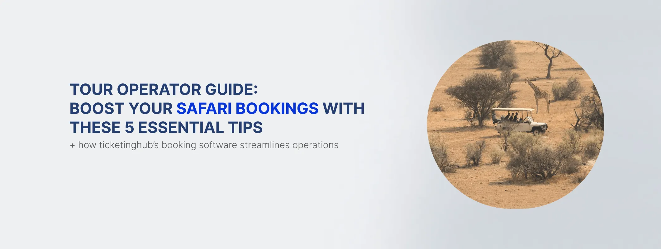 Top 5 Safari Bookings Marketing Tips You Need to Know