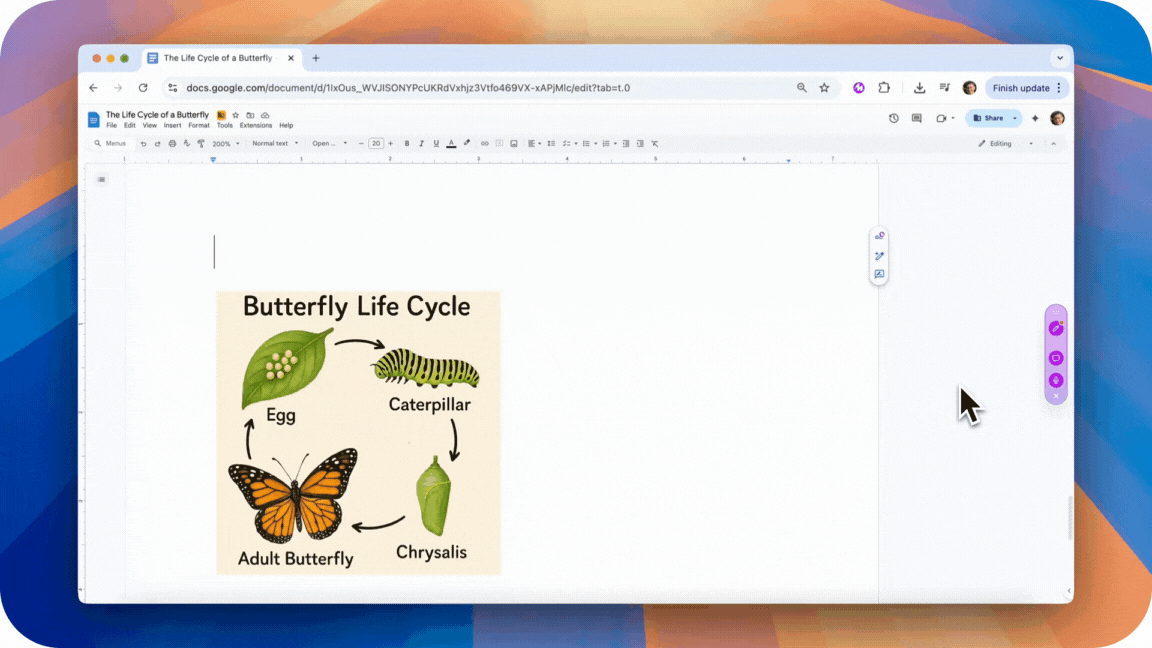 Speech to Text | Mote Features