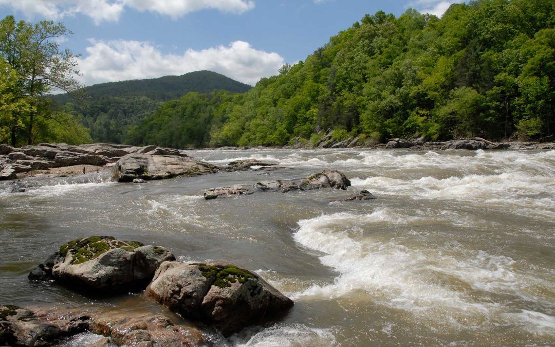 The French Broad River: Water Levels, Rafting Sections, and History ...