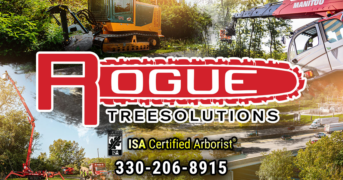 About Rogue Tree Solutions | Certified Arborist Tree Services