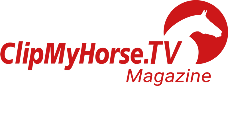 Wildpferde in Deutschland - Die Dülmener Wildpferde - ClipMyHorse.TV ...