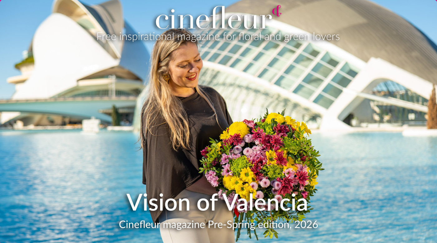 Maglr examples - Cinefleur - Vision of Valencia