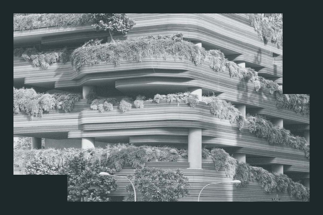 What is the CDP? | CDP Reporting Explained | Workiva Carbon