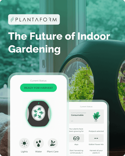 Modular Farms: The Ultimate Vertical Farming Solution