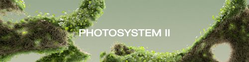 Photosystem II - Signal Festival