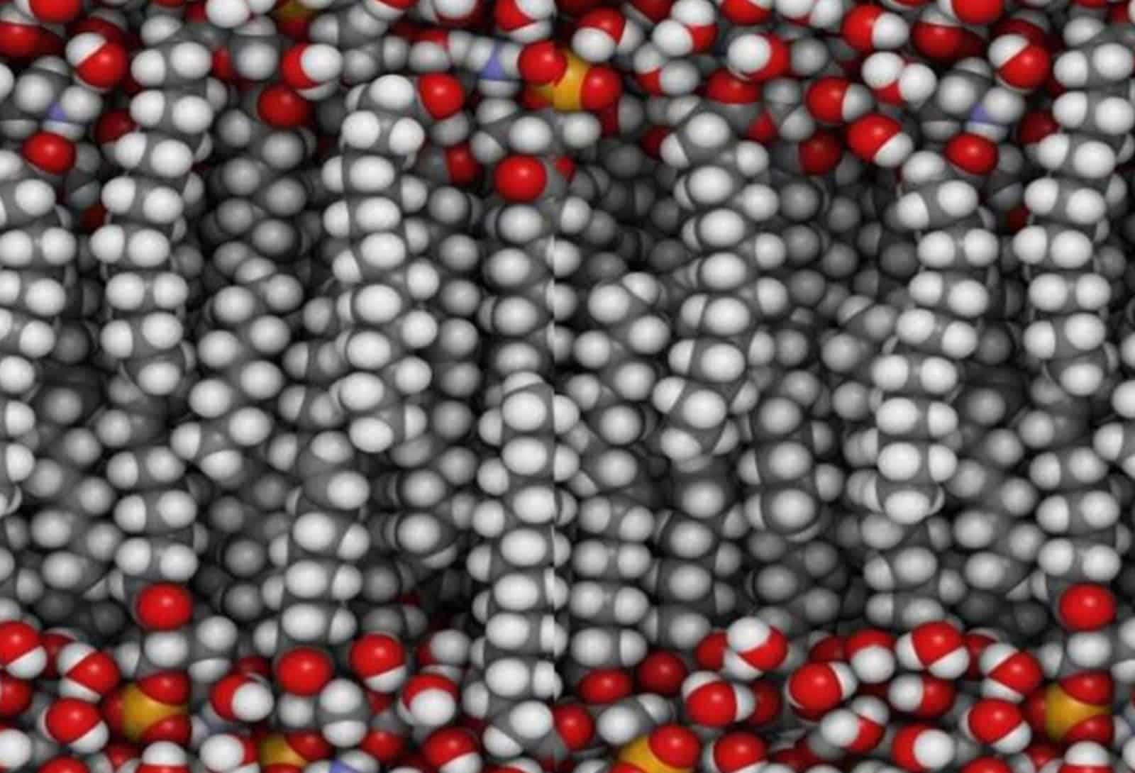 Lipid membrane models in biomedical research by Marleen Wilde - Access Ed