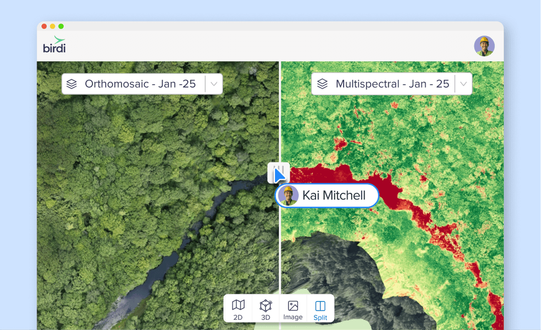Birdi Blog: Introducing the Split Screen view in Birdi