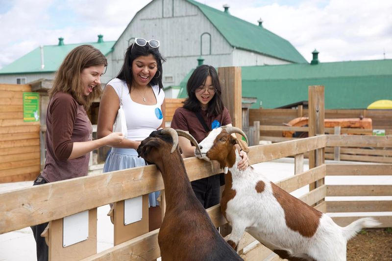 Top 10 Farms to Visit Near Toronto