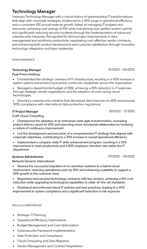 13+ IT Manager Resume Examples [with Free Templates]