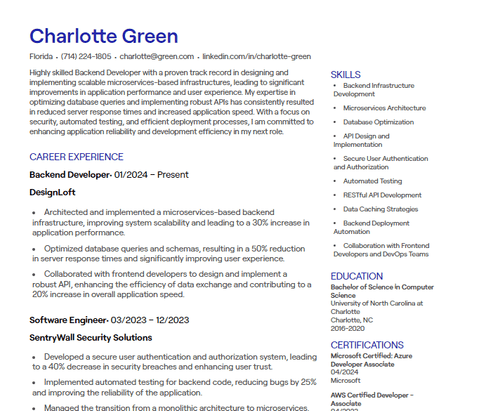 15 Front End Developer CV Examples [with Free Templates]