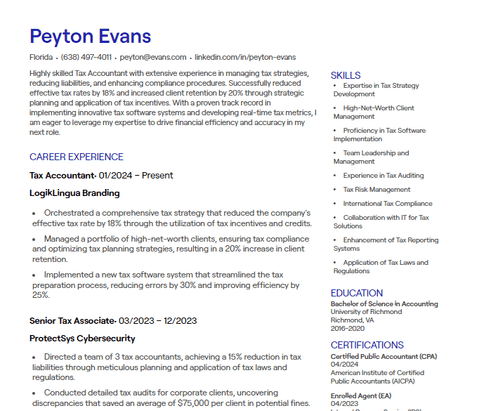 13 Accountant CV Examples [with Free Templates]