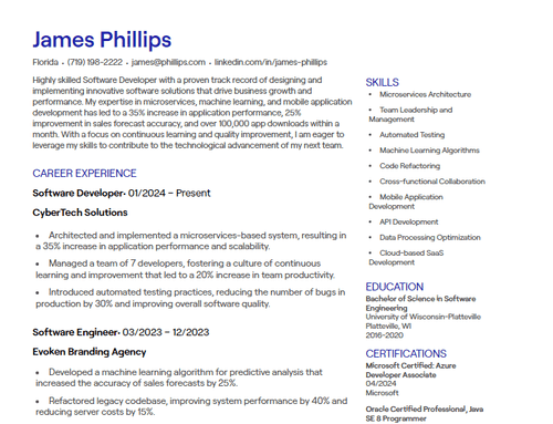 15 Front End Developer CV Examples [with Free Templates]