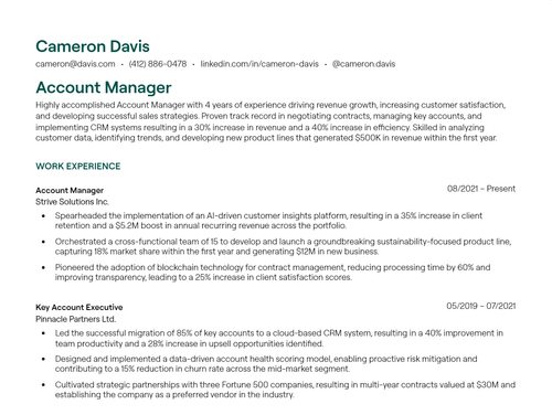 9+ Account Manager Resume Examples [with Free Templates]