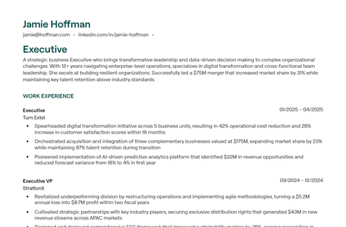 + Executive Resume Examples [with Free Templates]