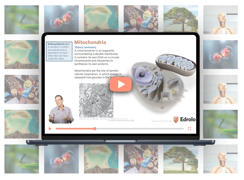 VCE Biology Unit 1 & 2 - Edrolo Store