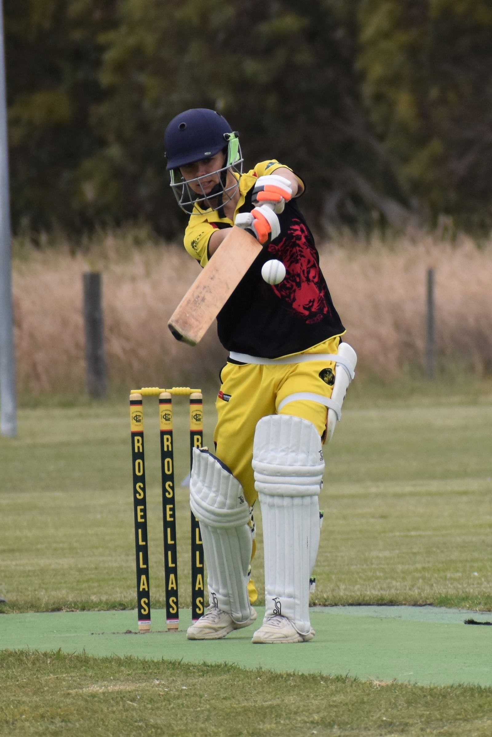 Torquay Cricket Club