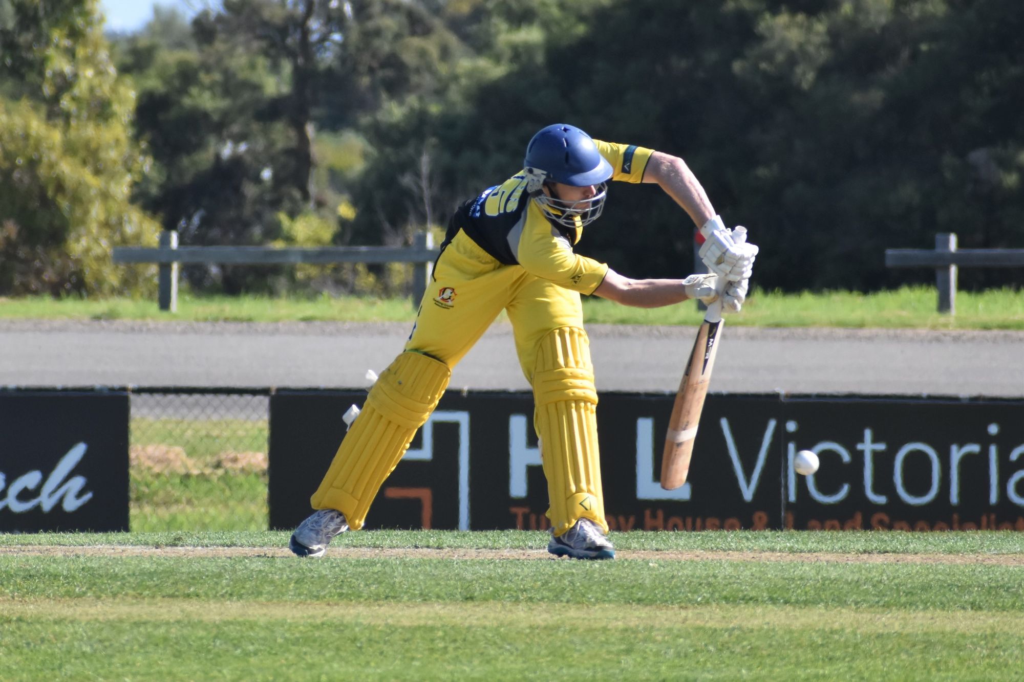 News | Torquay Cricket Club