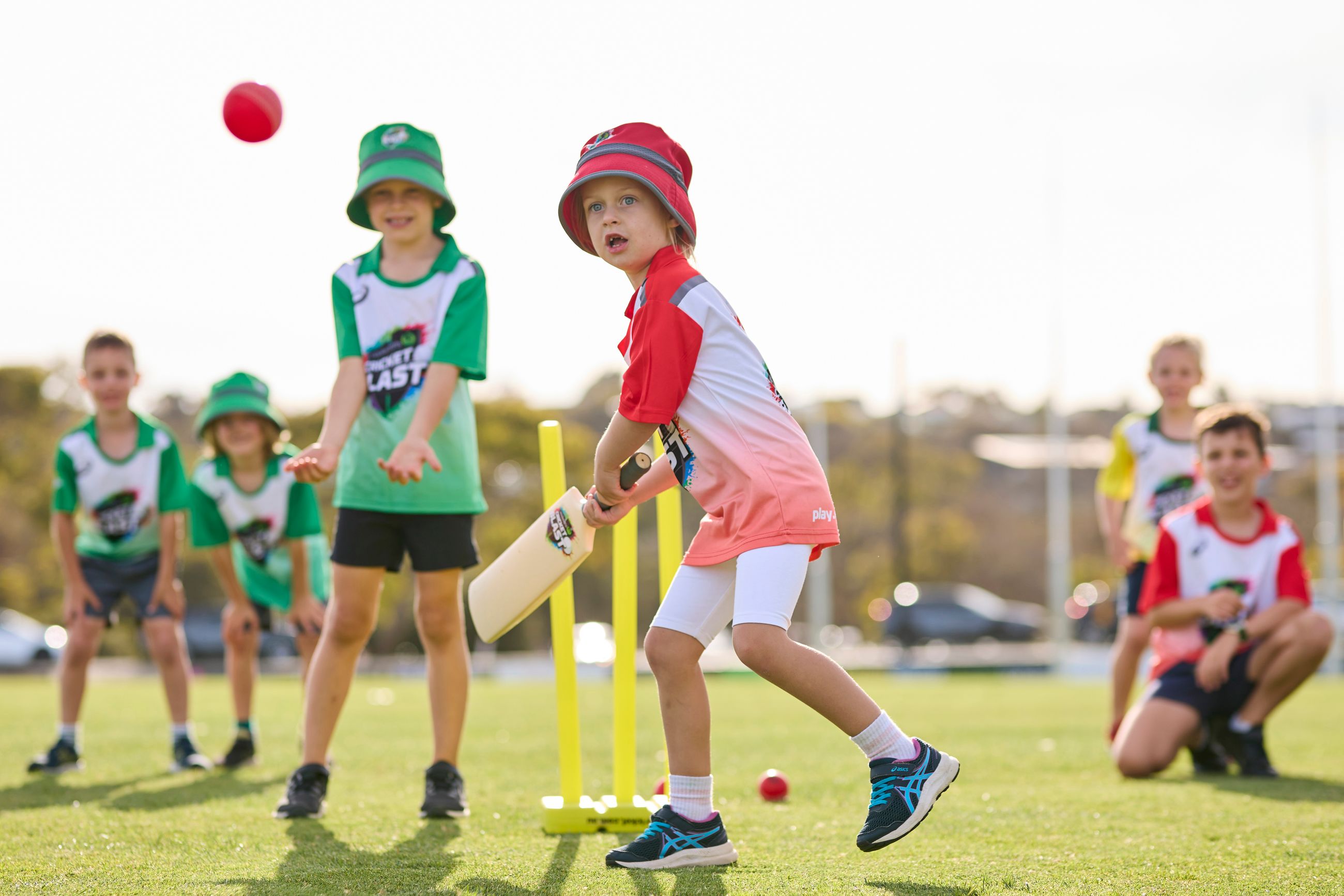 News | Torquay Cricket Club