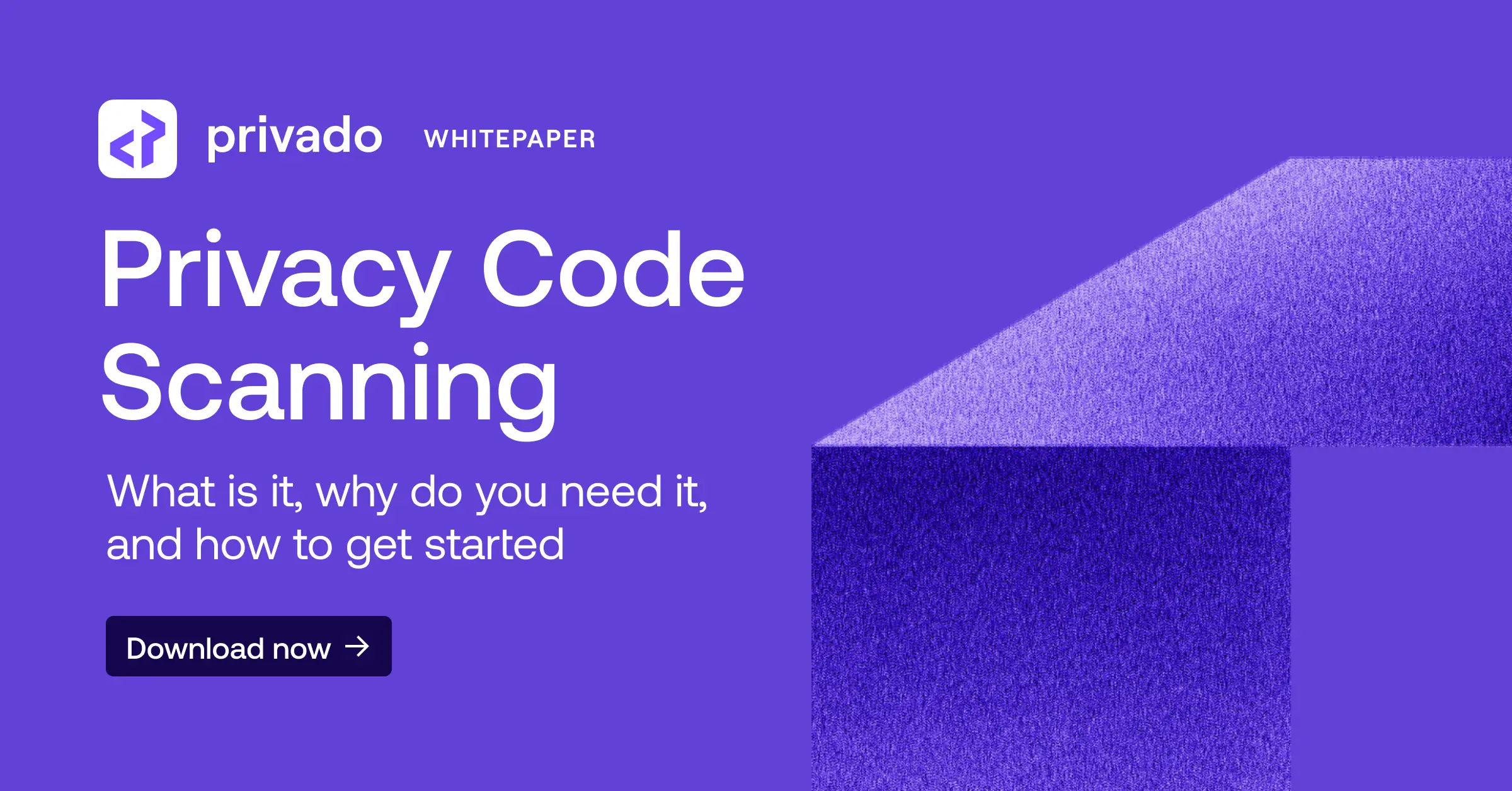 The Complete Guide to Privacy Code Scanning | Privado