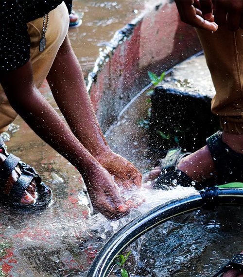 Botanical Water Technologies