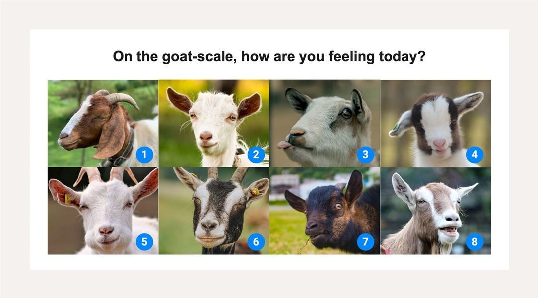 Animal Scale Icebreaker Template (Free Download & Guide)